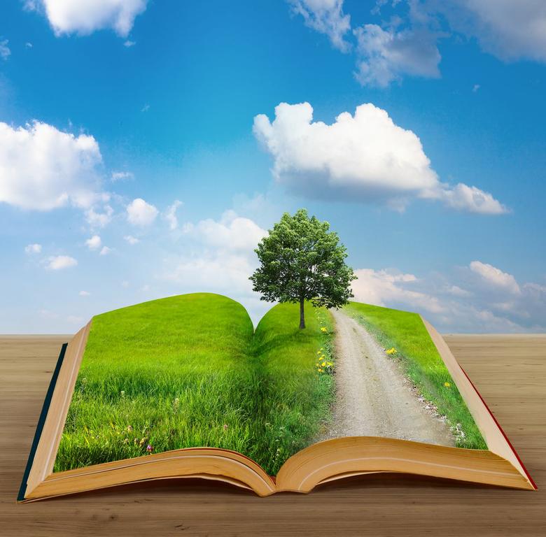  How To Write A Story Plot That Doesn t Suck Fresh Essays Blog